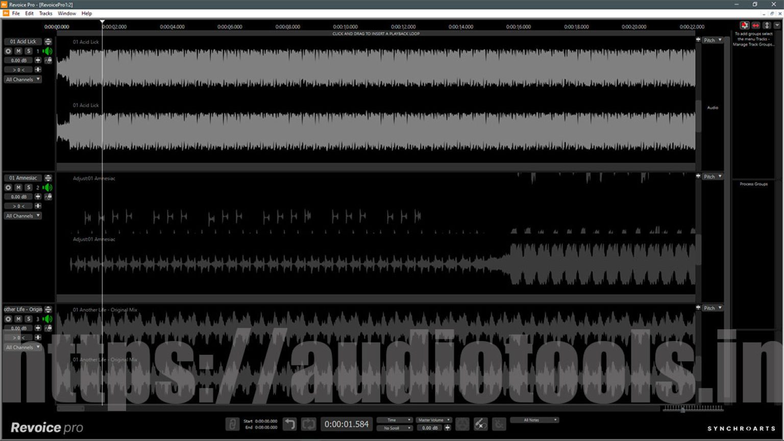 ReVoice Pro v5-1-28 WiN-R2R | AUDIOTOOLS